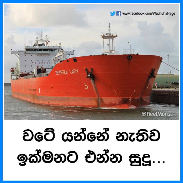තෙල් අර්බුදය ගැන පළවූ ෆේස් බුක් නිර්මාණ