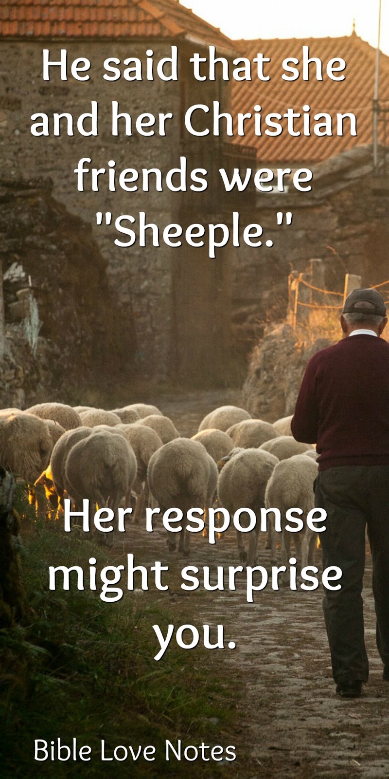 Bible Love Notes: Sheeple