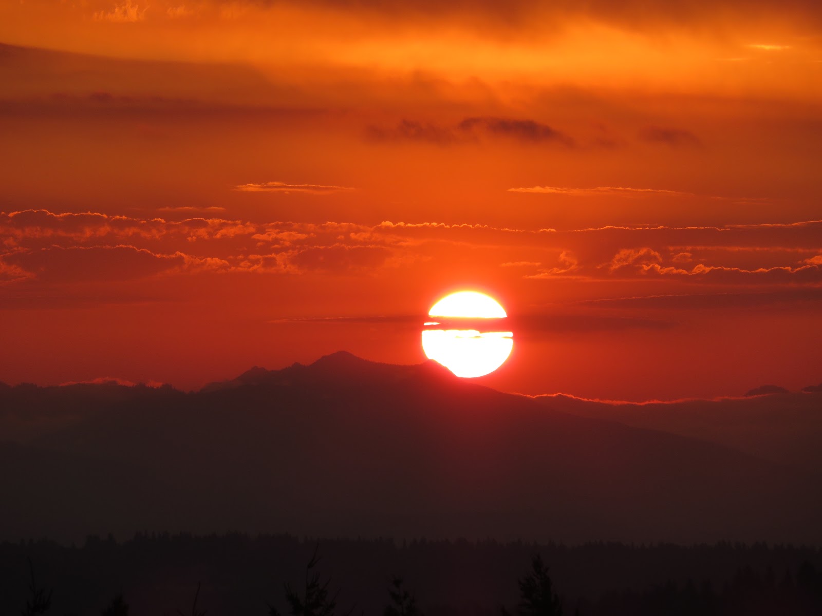 Shoreline Area News: Photo: Splitting Sun