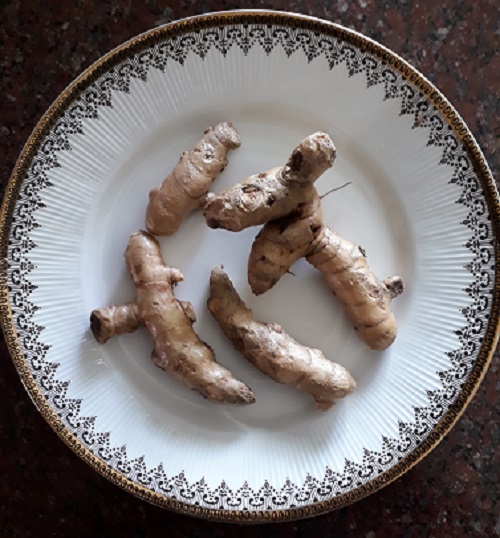 Mavina Shunti / Manga Inji Thambuli - A Curd based relish using Mango ...