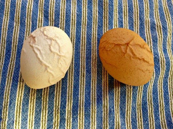 Sue's in the Garden Growing the Groceries: Wrinkled Egg Shells