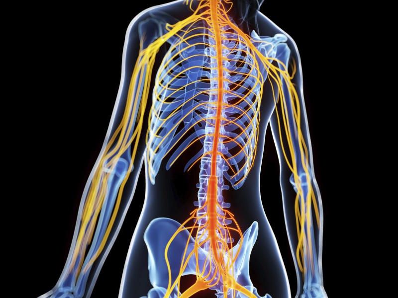 prairiemary: A BRAIN WITHOUT A BODY IS JUST A BLOB