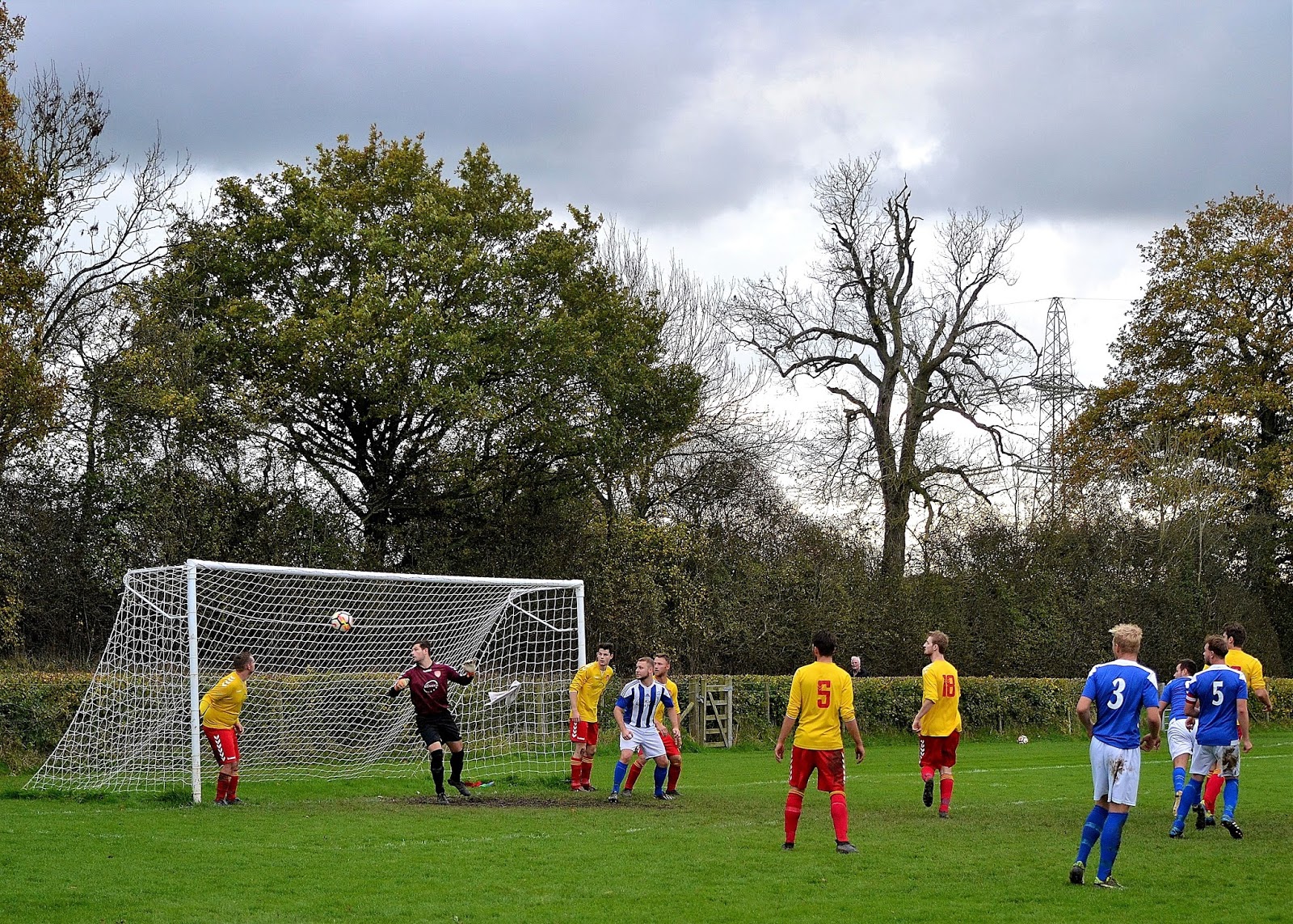 Hopping Around Hampshire: Bishop's Waltham Dynamos v Overton United