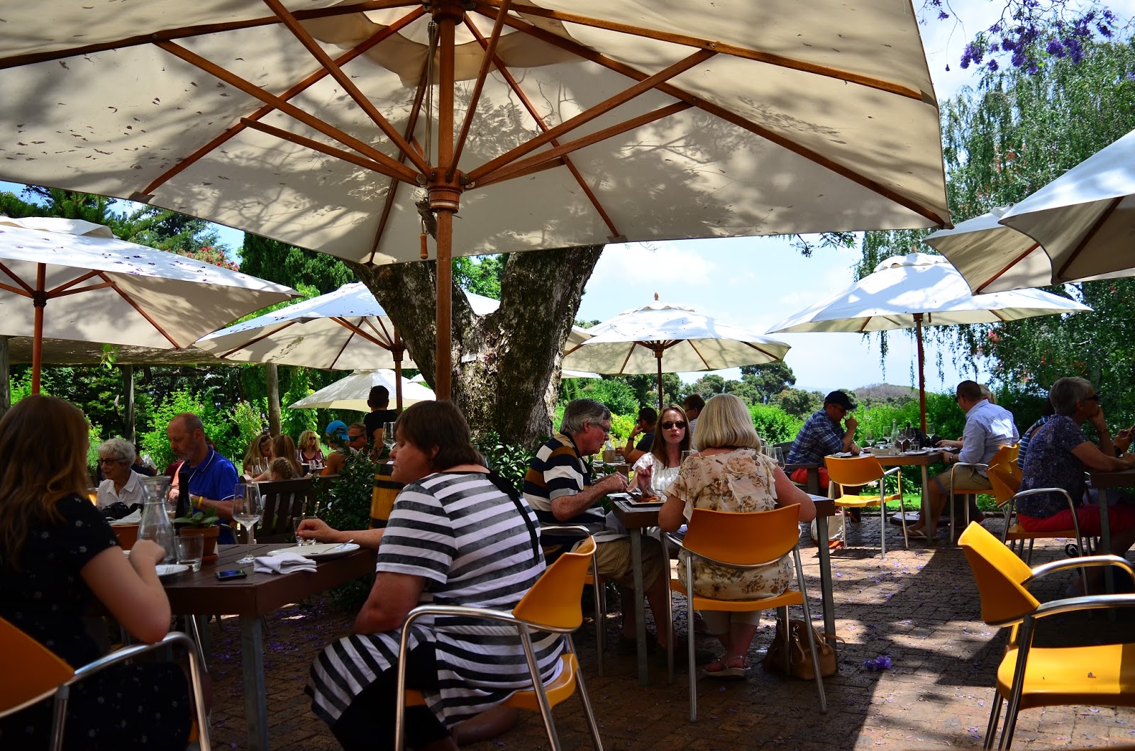 Hedofoodia: Delheim Garden Restaurant, Stellenbosch
