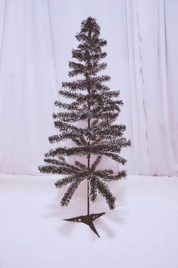 Chinese New Year Money Tree