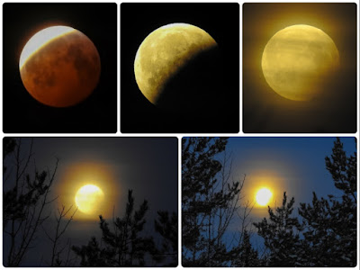 "Moonstruck!" : the Blood Moon of 2019 |Blissful Solitary Wanderings