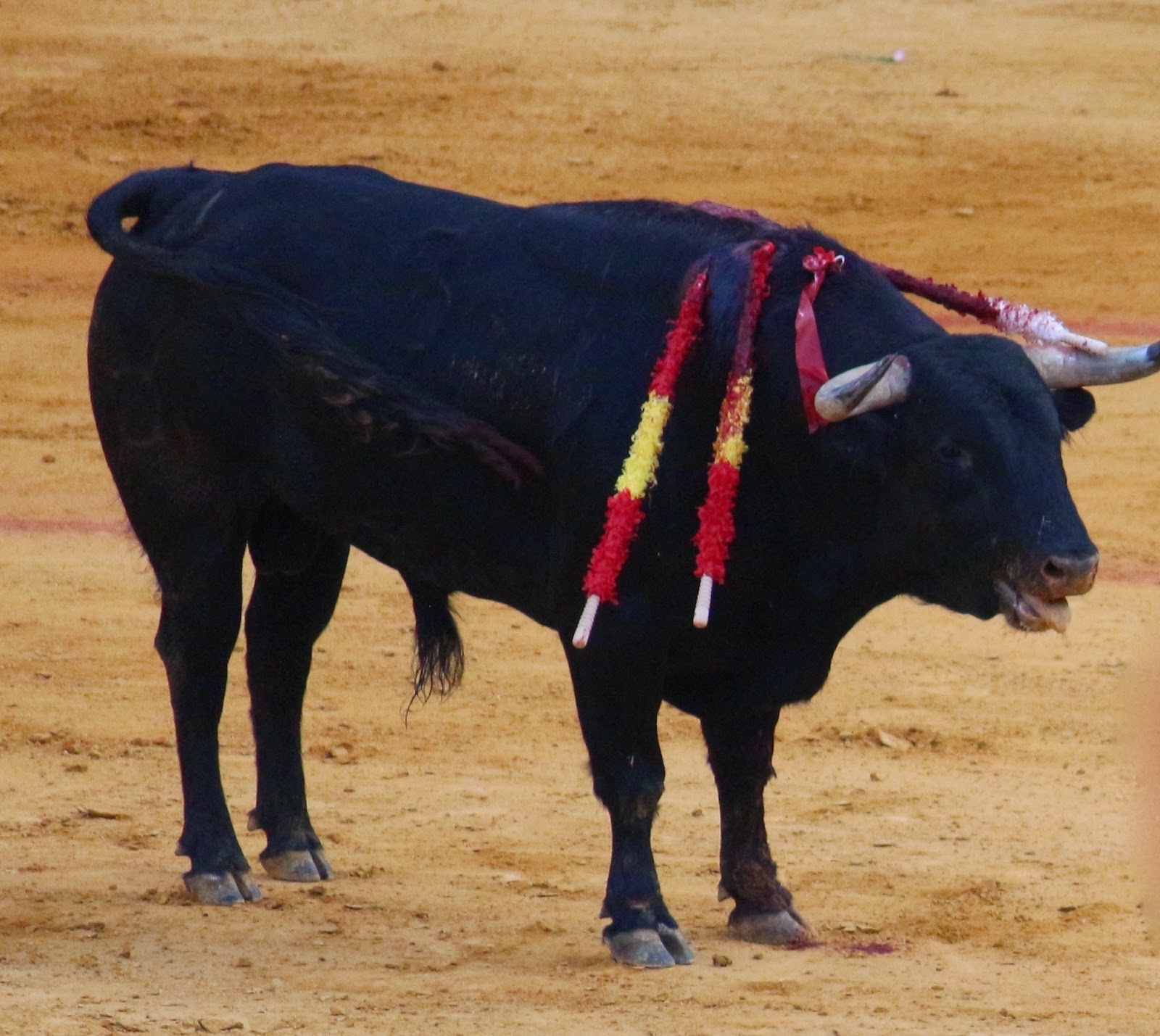 If I Were Going...: Corrida de Toros