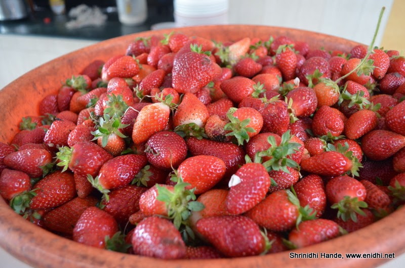 Mahabaleshwar Strawberry Farm Free Visit - eNidhi India Travel Blog