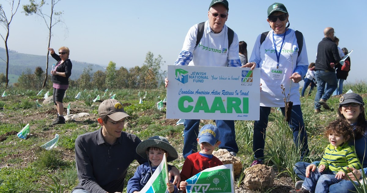 CAARI - A unique Israel travel experience: Israel's National Tree ...