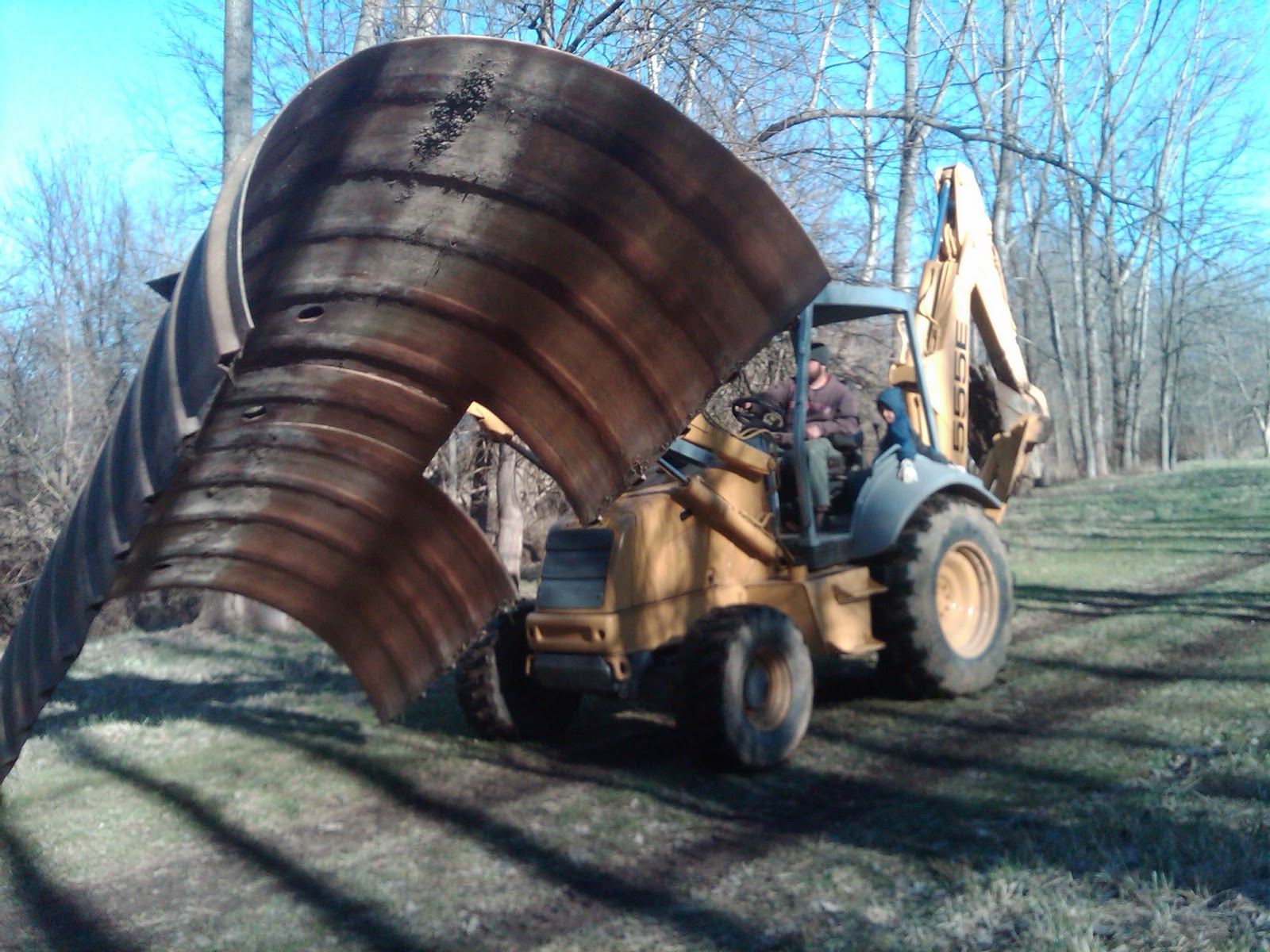 Full of Graze Farm: Future pig shade