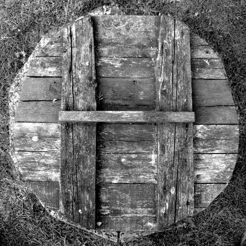 Nature Photos: Nature Photos Look Like Letters