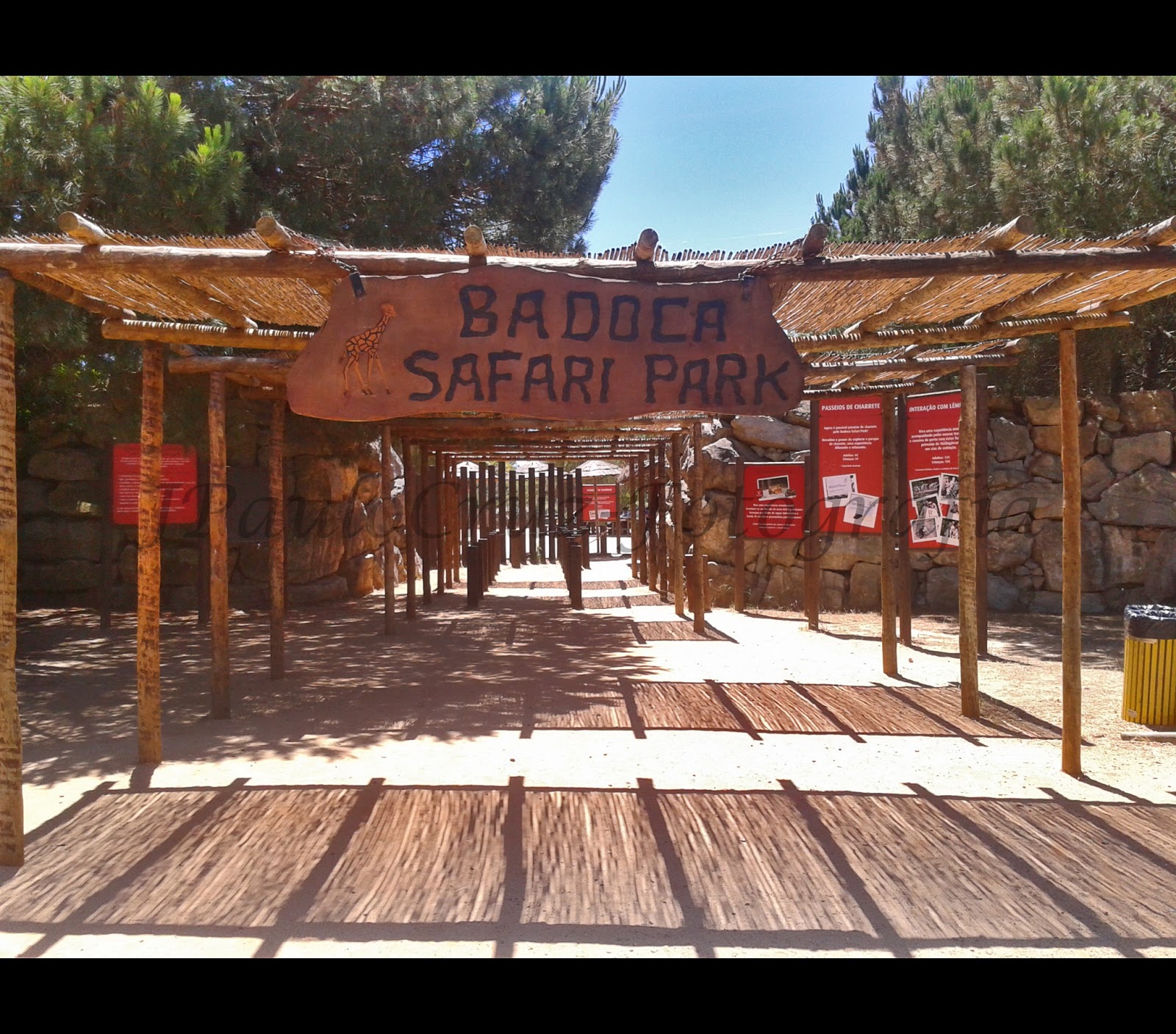 JPauloCruz-Fotografia: Badoca Safari Park