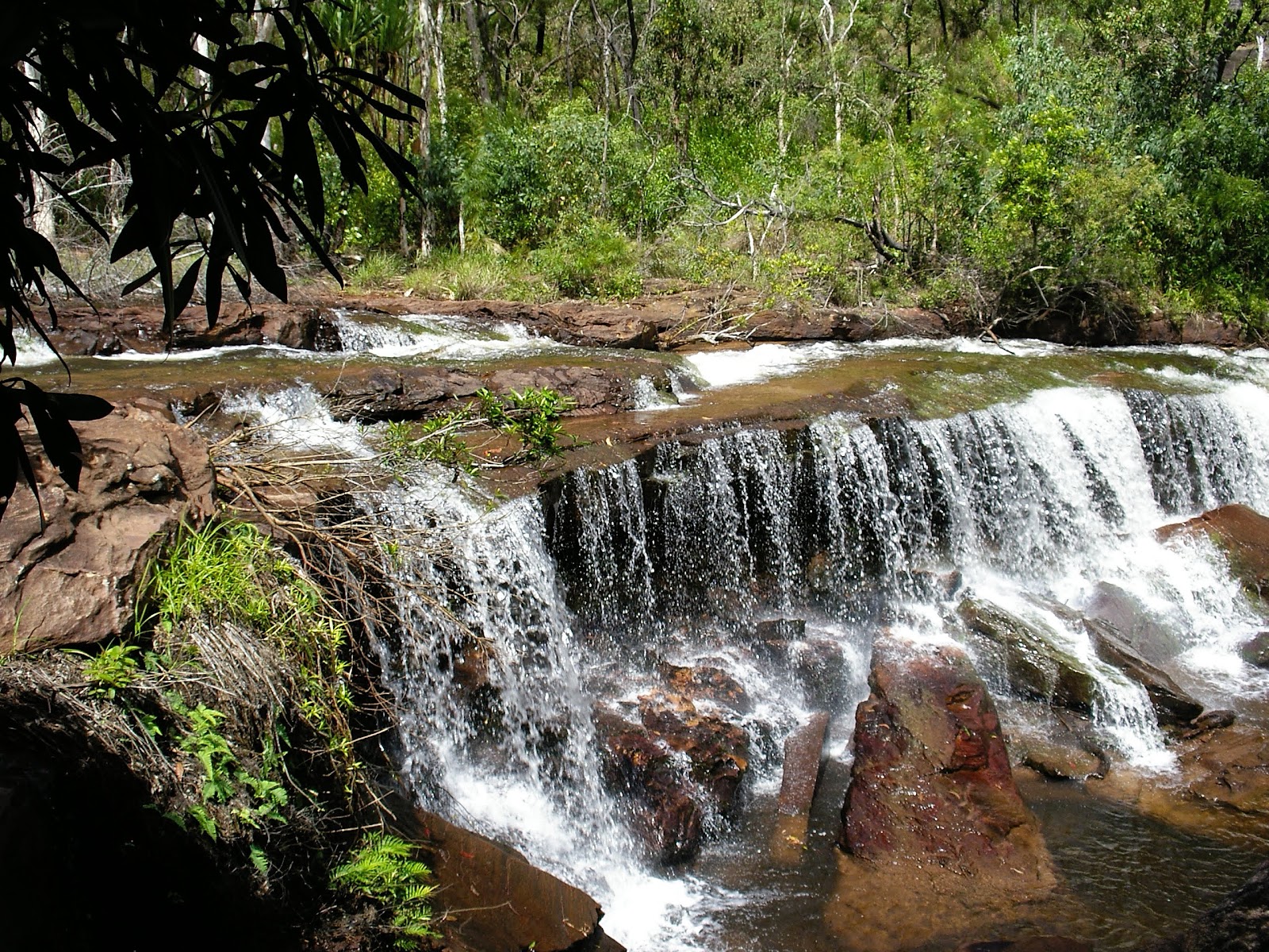 Blogger Wil: . Our World Tuesday, ABC Wednesday, I for Isabella Falls