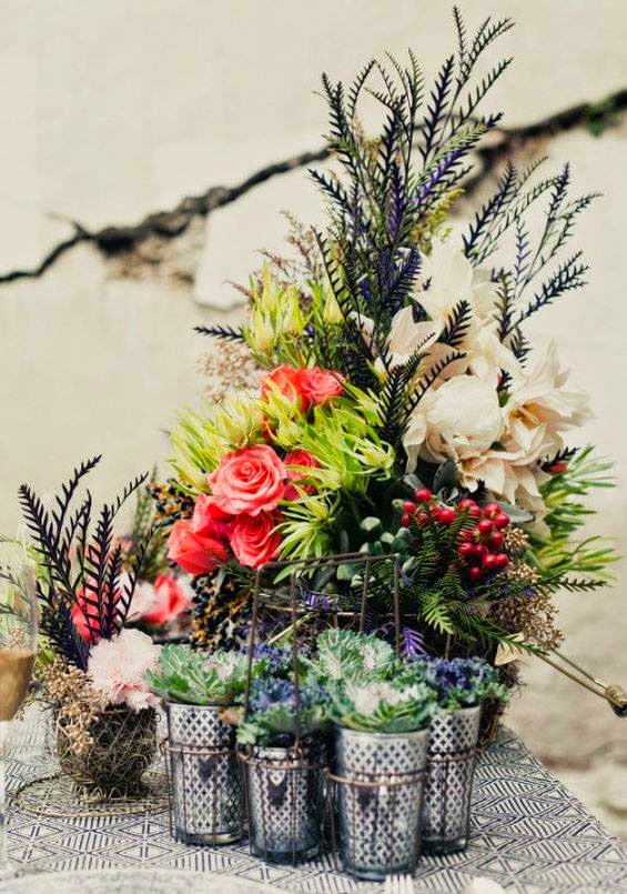 A Passion for Flowers: Grevillea Ivanhoe: A Fall Favorite