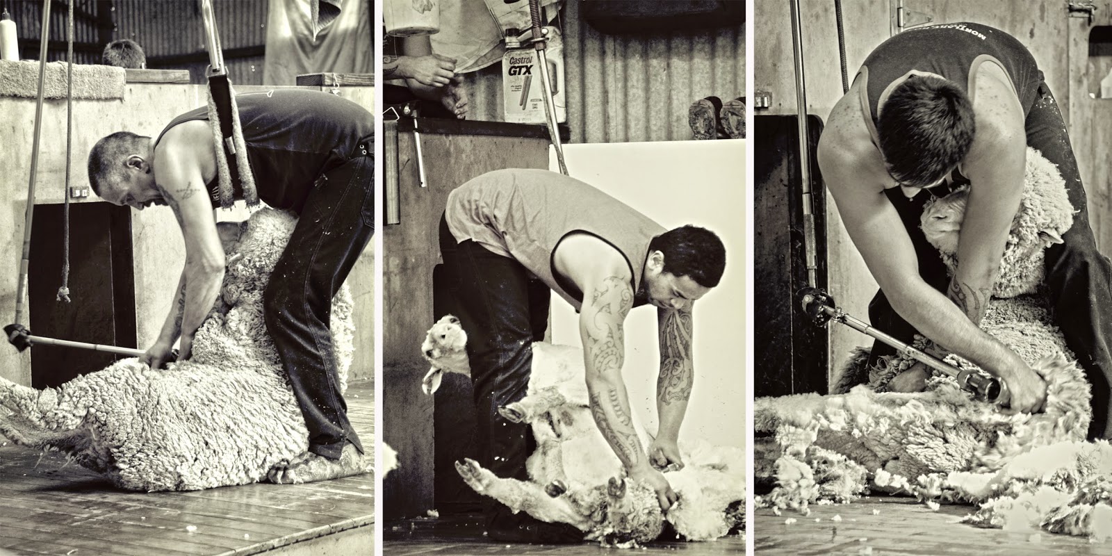 L♥valizious: Inside the shearing shed