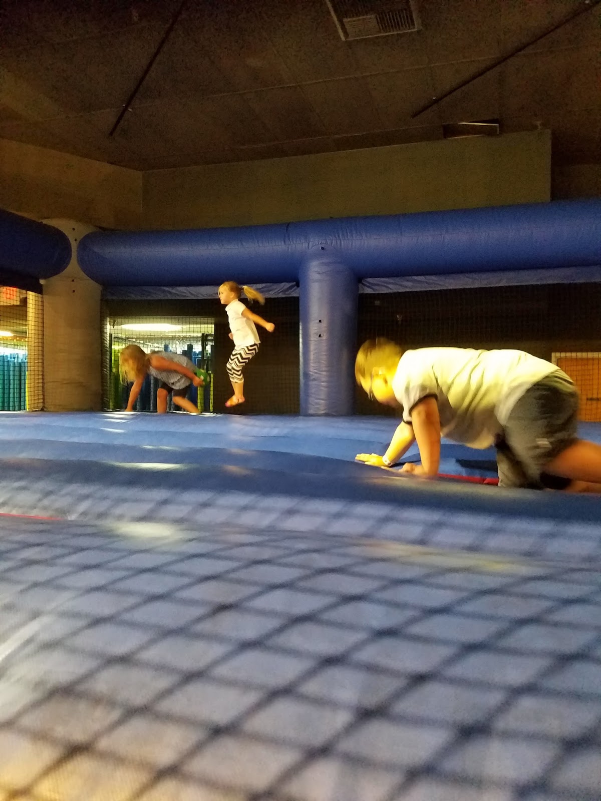 Play St. Louis: Myseum, Town and Country