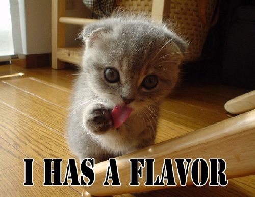 Musings and Other Assorted Randomness: Some of the Best LOLCats Ever