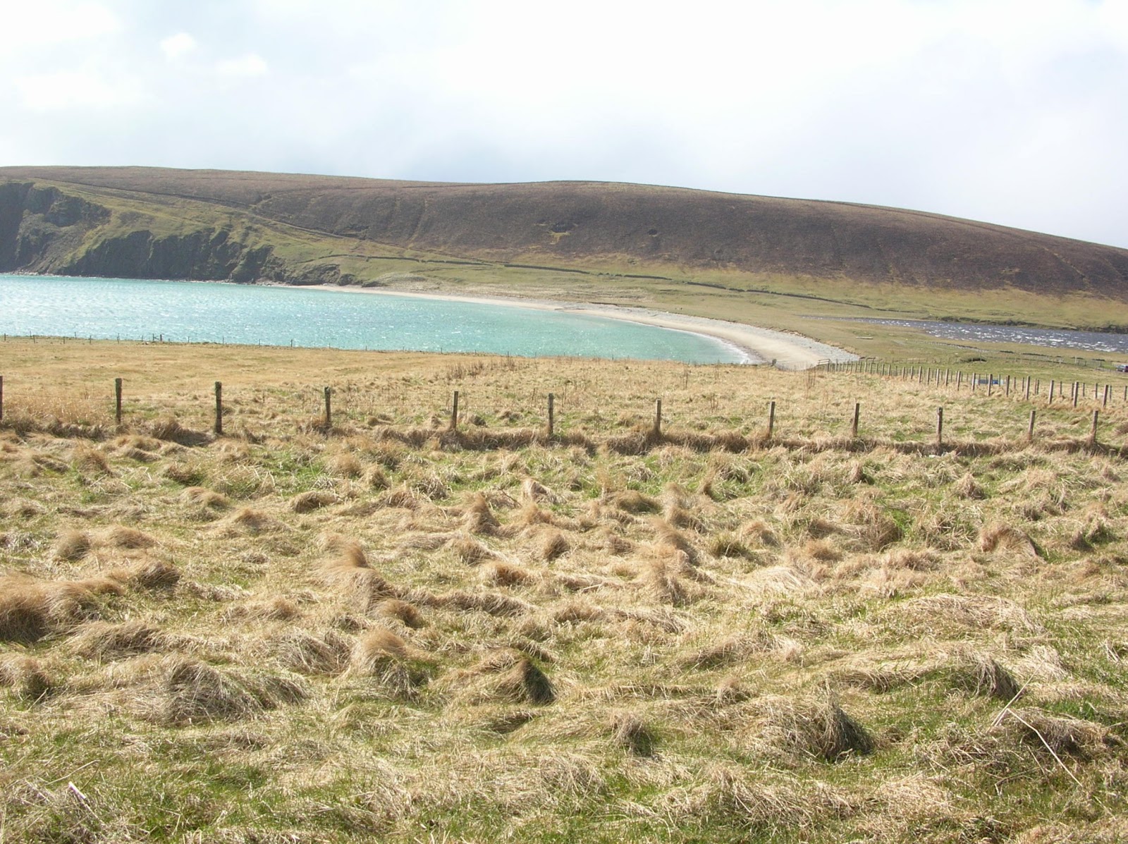 A lifetime of Islands: June 2013