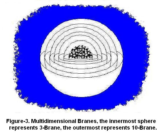 multidimensional world: The Brane Theory as It should be