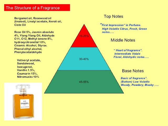The Structure of a Fragrance الهرم العطري | الاقتصاد بعيون الخبراء