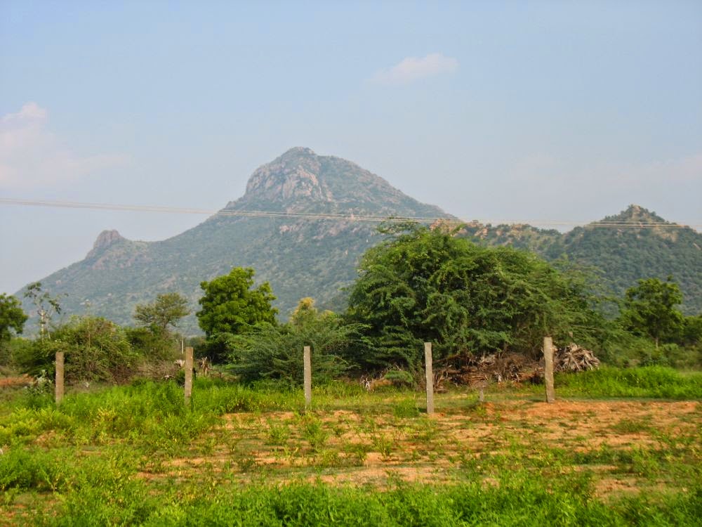 57 Cent Parcel near Vediappanur road - ARUNACHALA LAND