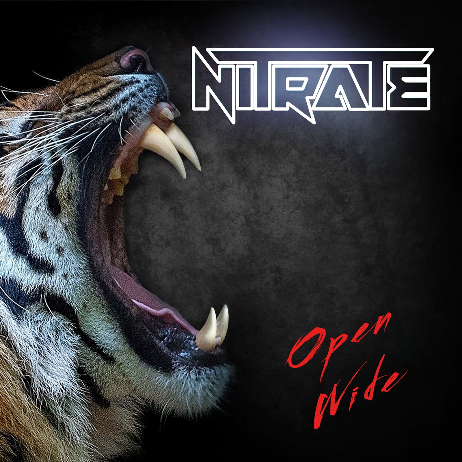 HEAVY PARADISE, THE PARADISE OF MELODIC ROCK!: REVIEW : Nitrate ...