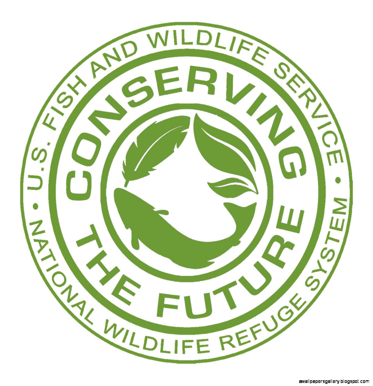 Wildlife Conservation Groups | Wallpapers Gallery