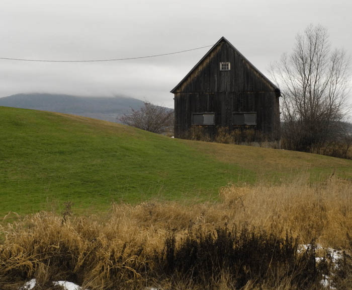 Studio and Garden: The Colors of Gray November