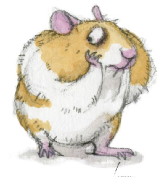 Let's Talk Picture Books: Let's Talk Illustrators #17: Emily Gravett