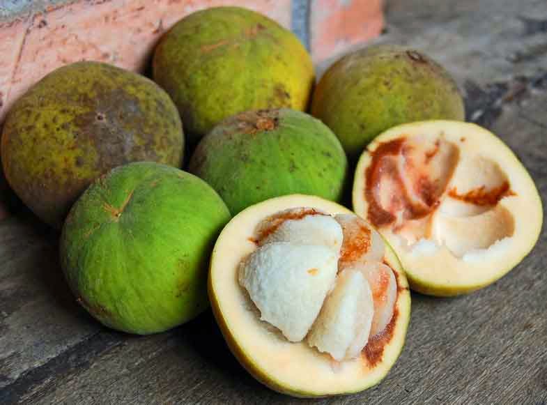 Health Benefits of Santol or Kecapi Fruit (Sandoricum koetjape) for ...