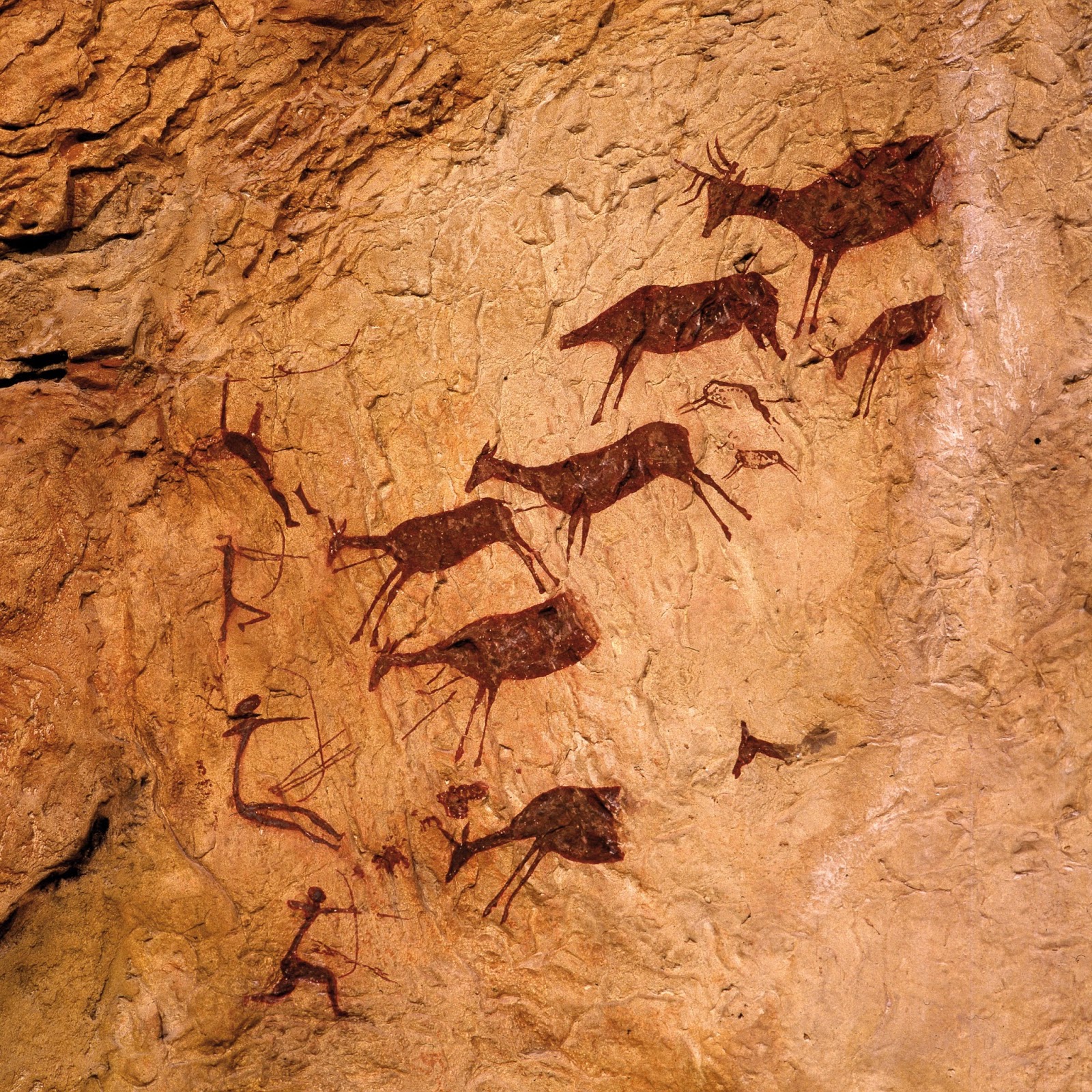 LA CUEVA DE ALTAMIRA