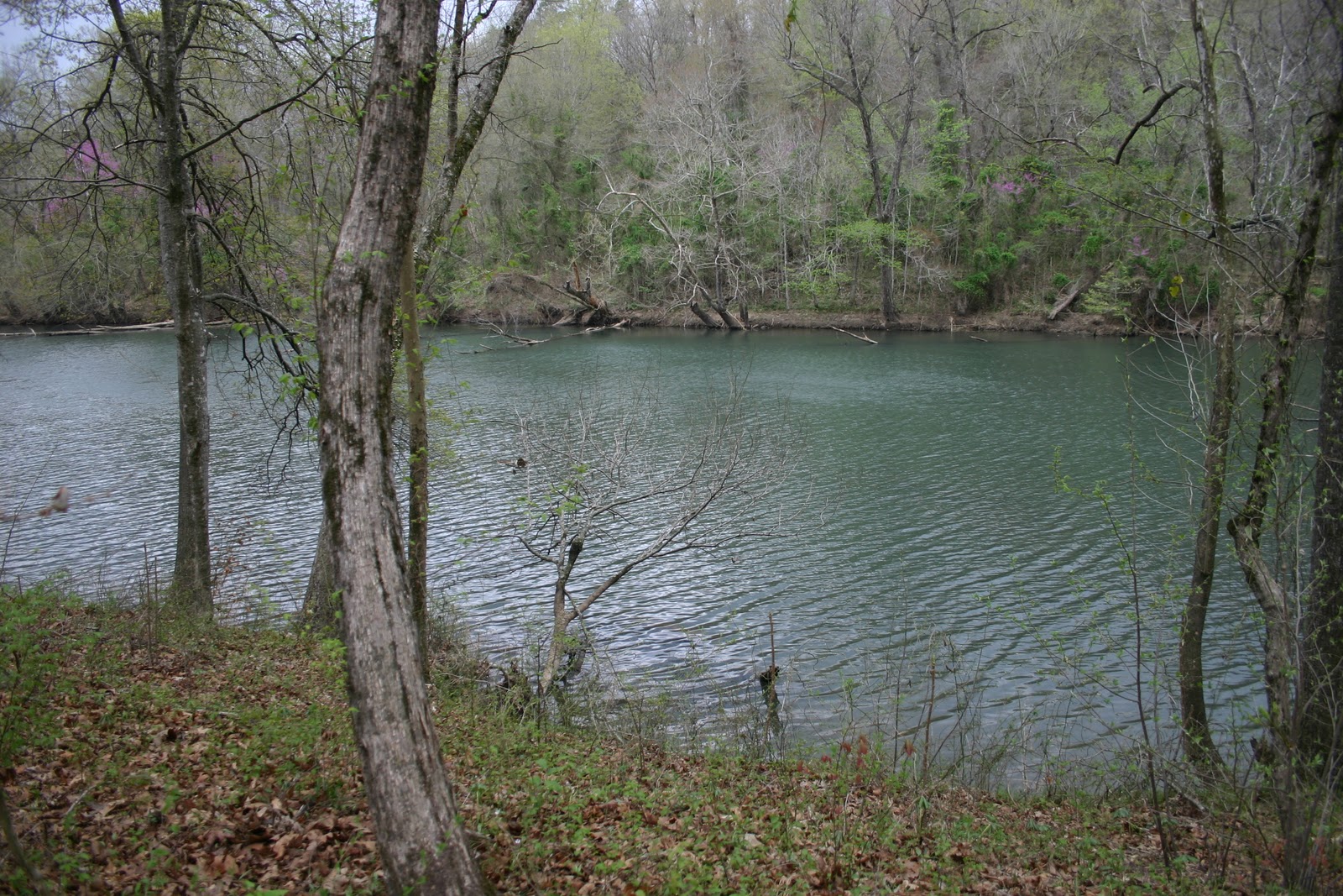 Little Missouri River Cabin