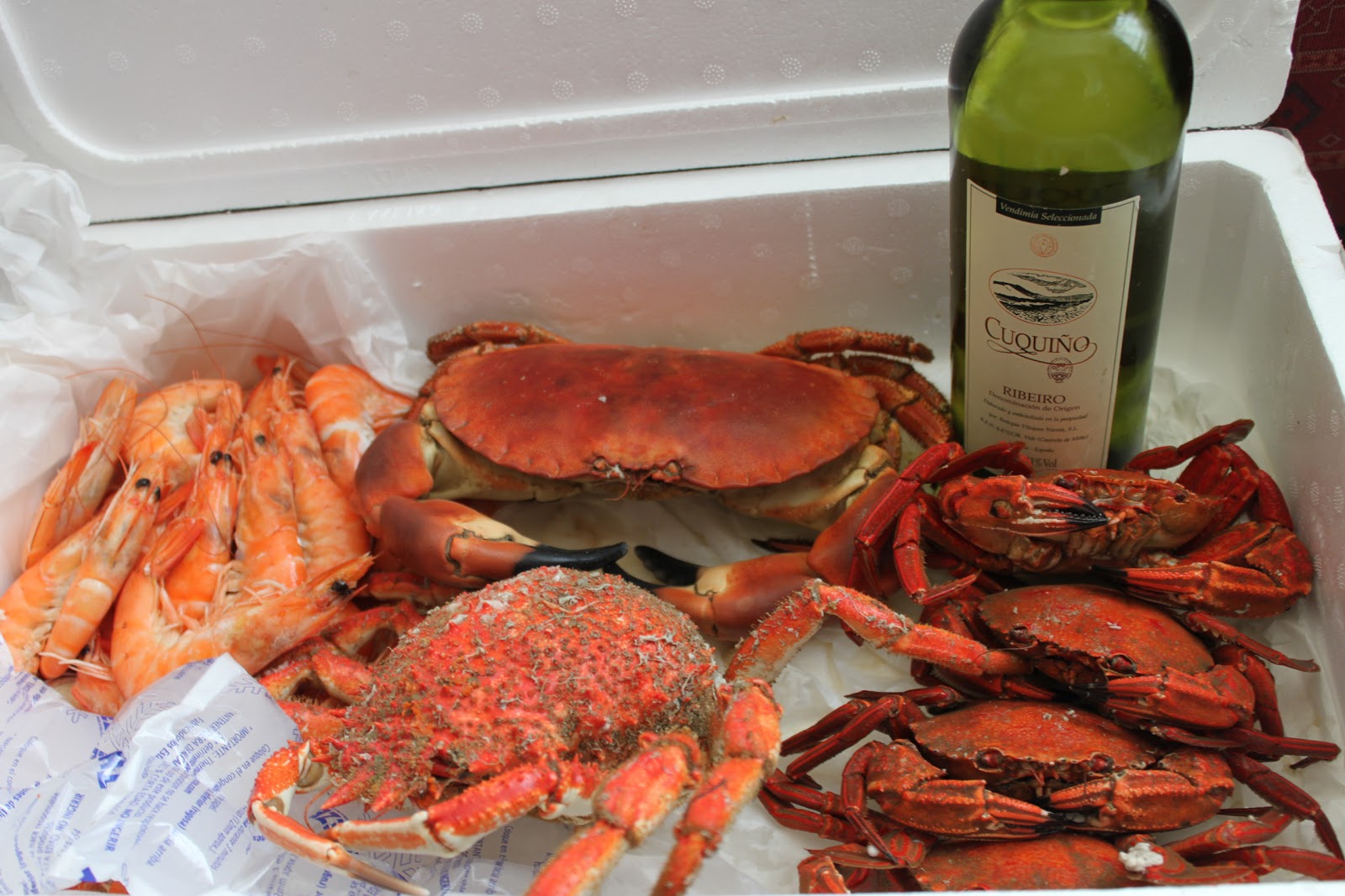 KESITO: BICHOS DEL MAR