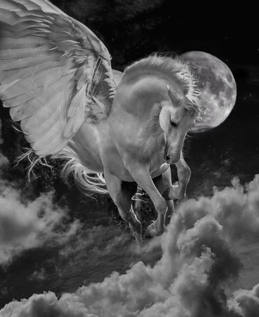 Elisandre - L'Oeuvre au Noir: Les collages surréalistes de Robin Isely