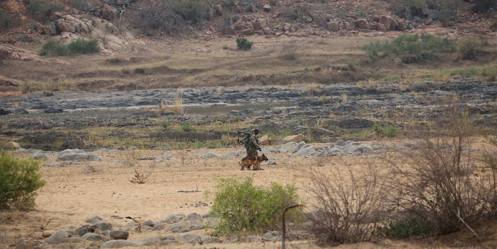 Worldbirder: Clare & Rowan's Africa trip!