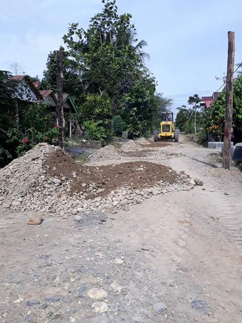 Desa Bunga Antoi: PT. PLN Mengadakan Bantuan Program Bina Lingkungan ...