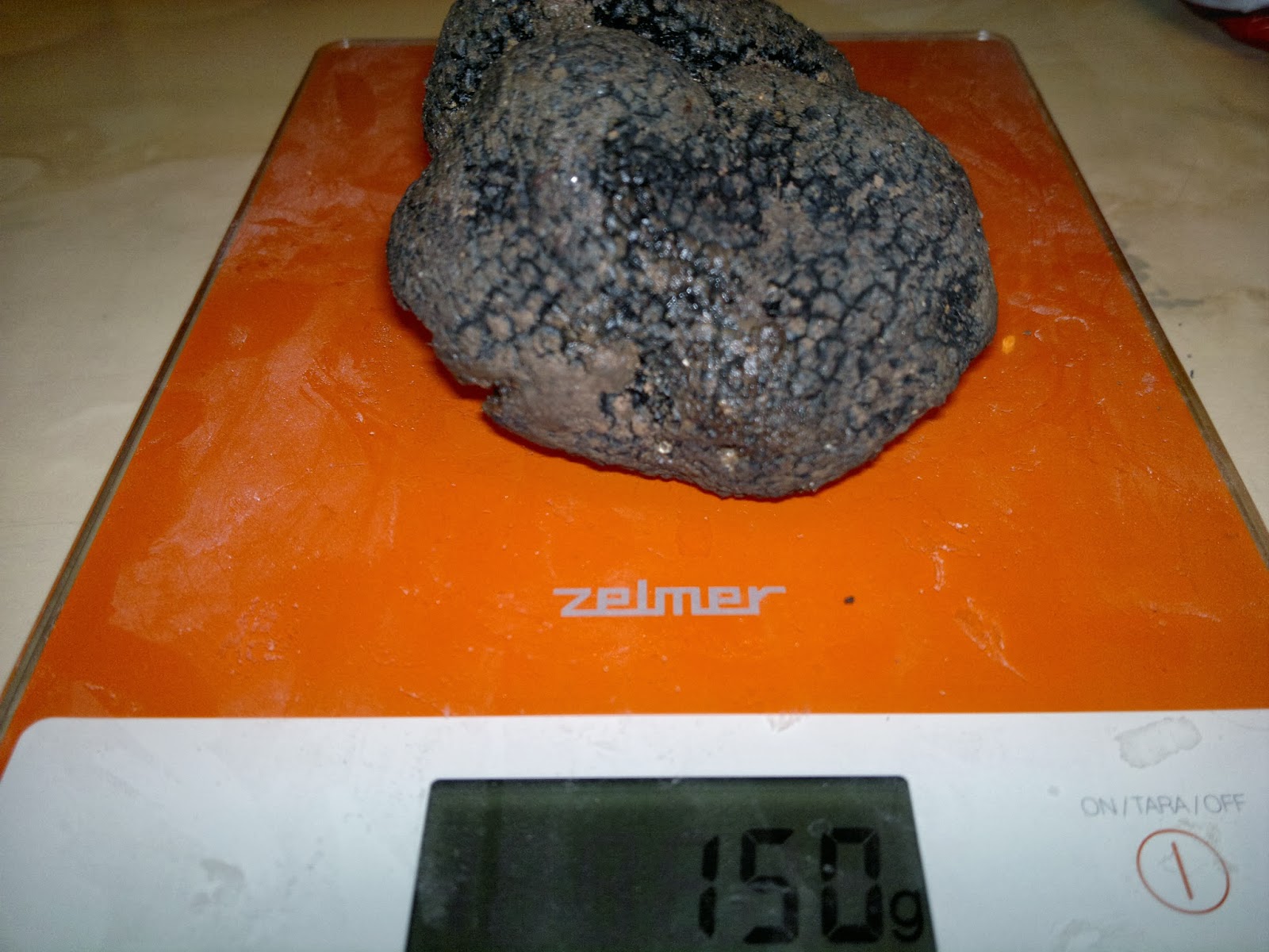 Trufe Romania Albe si Negre