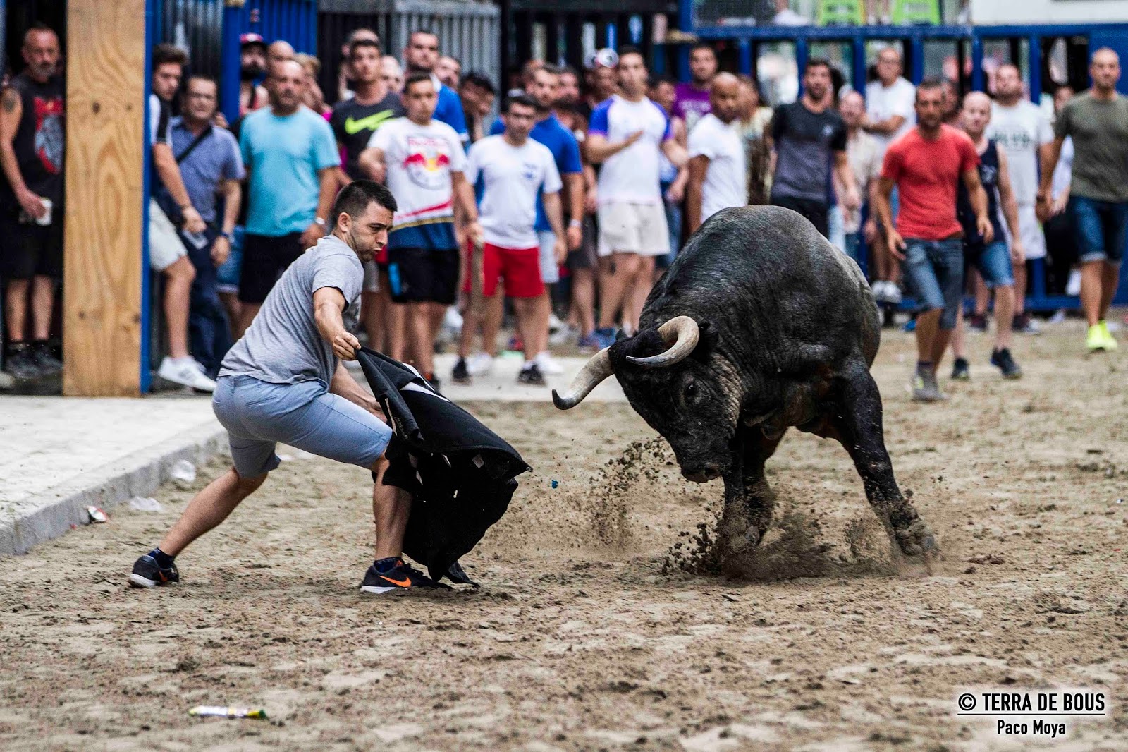 ¡QUE ALEGRÍA VER EMBESTIR UN PARTIDO DE RESINA!