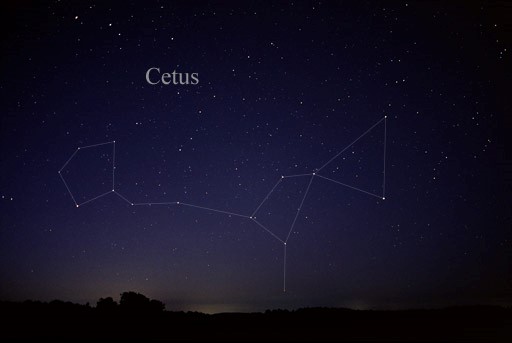 To the Land of Dreams: Cetus