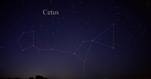 To the Land of Dreams: Cetus