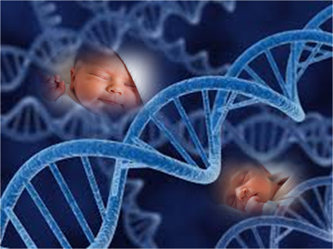 In Search of Enlightenment