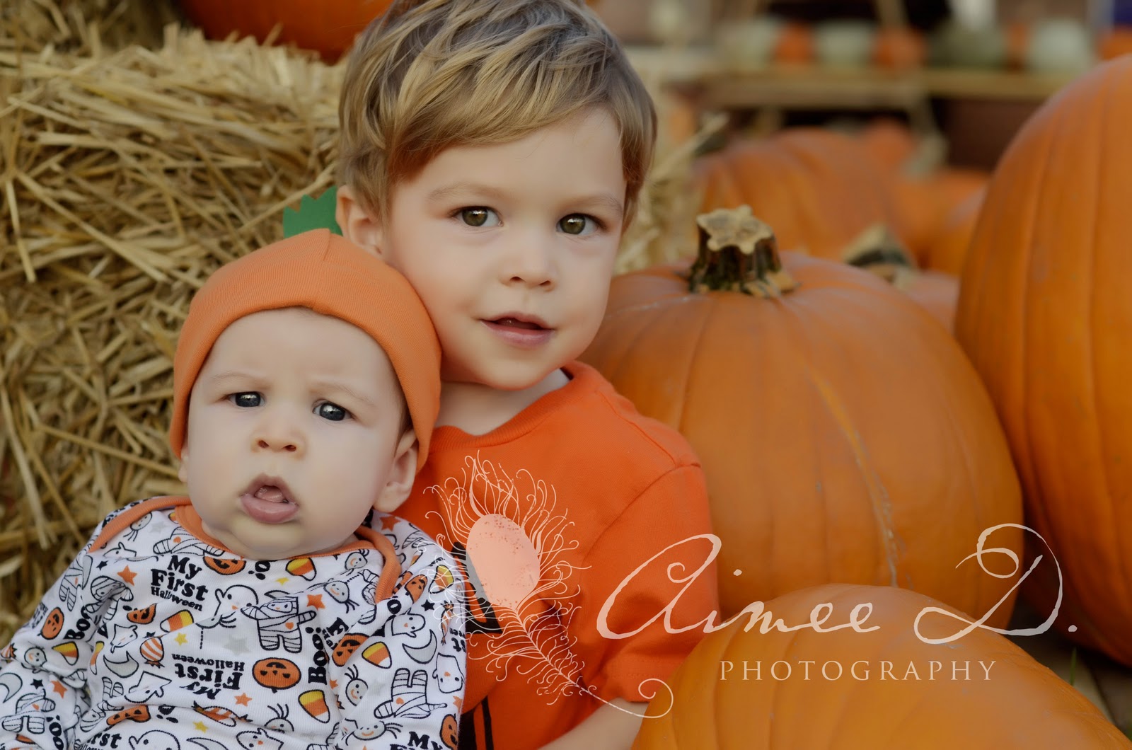 Aimee D. Photography