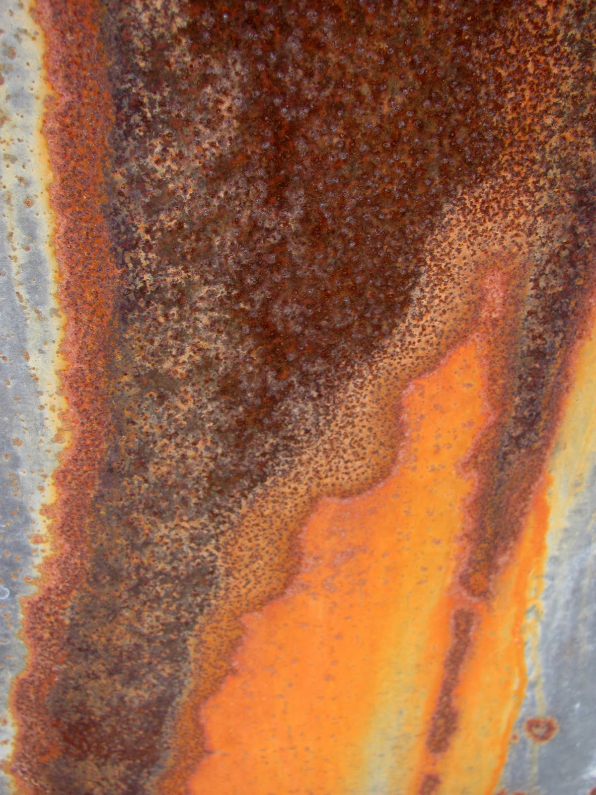 curving back: metal rust patterns