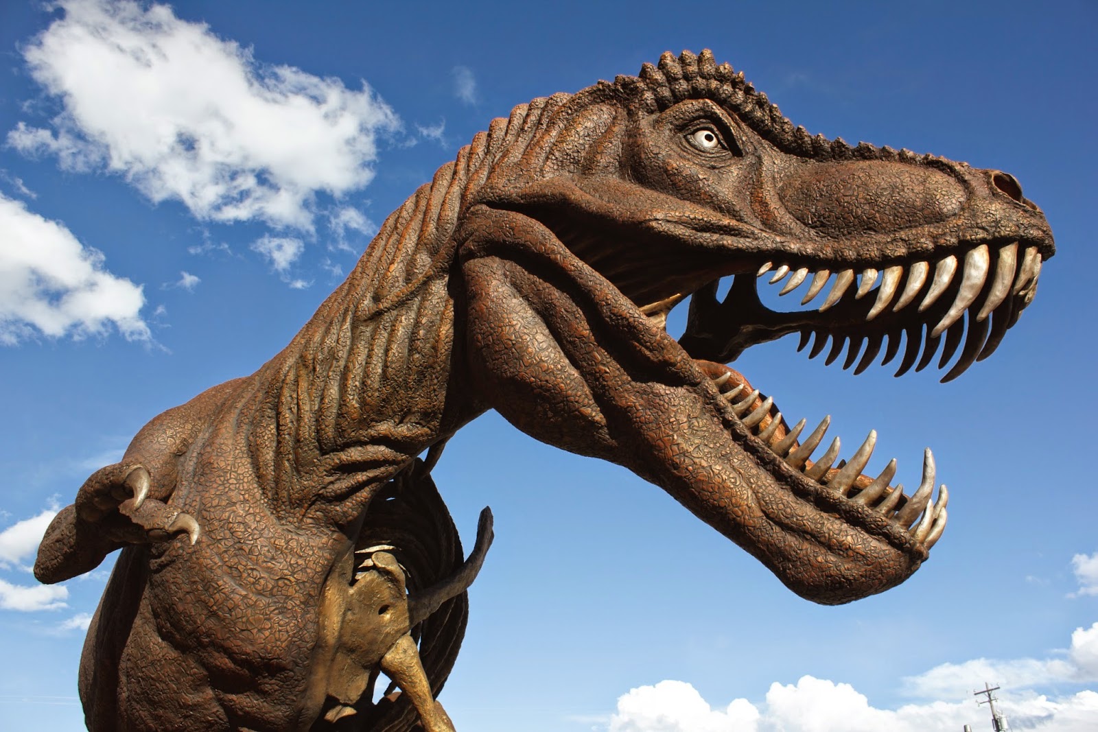 Chris Navarro Studio Blog: ''ESSENCE OF REX'' life size T Rex bronze ...