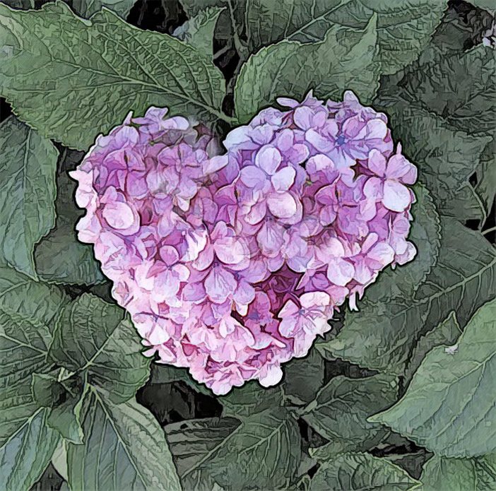 DELIGHTFUL CLUTTER...by Rose: Garden Gate & also a Hydrangea