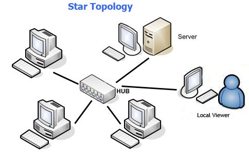 See-Think-Do: Computer Network: Using Star Topology
