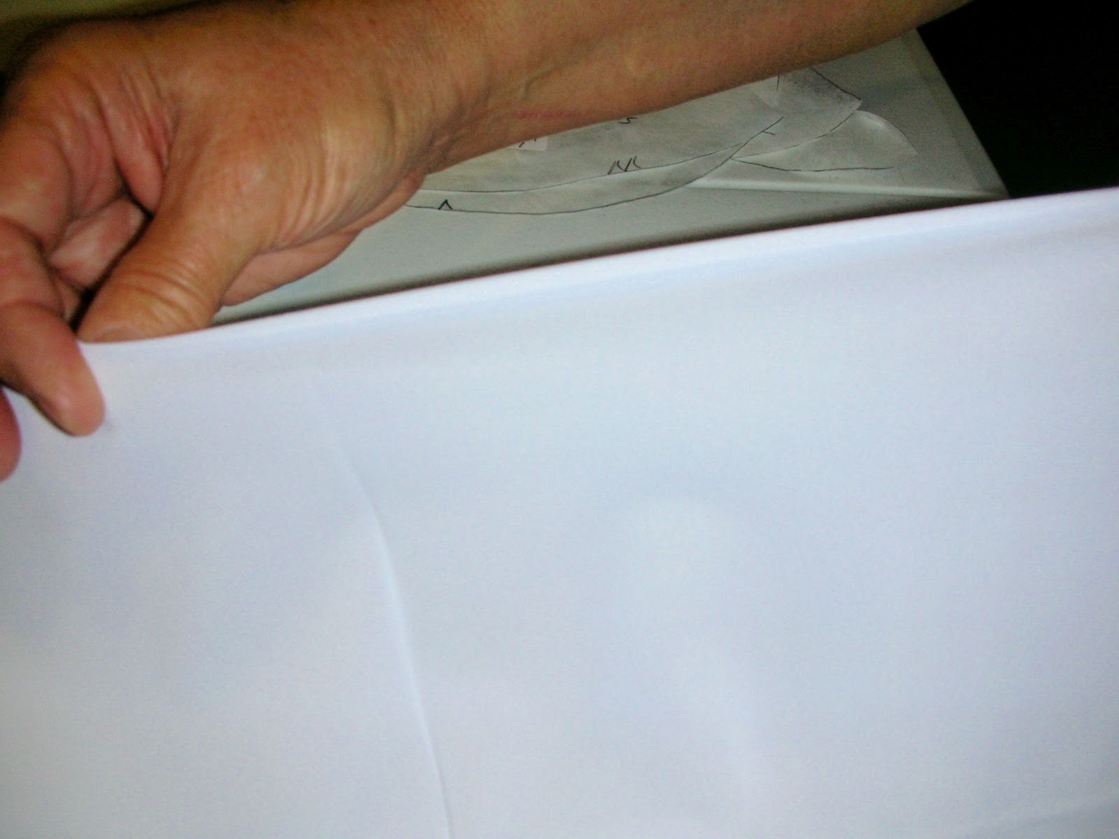 Matching Notches: Bra Making!