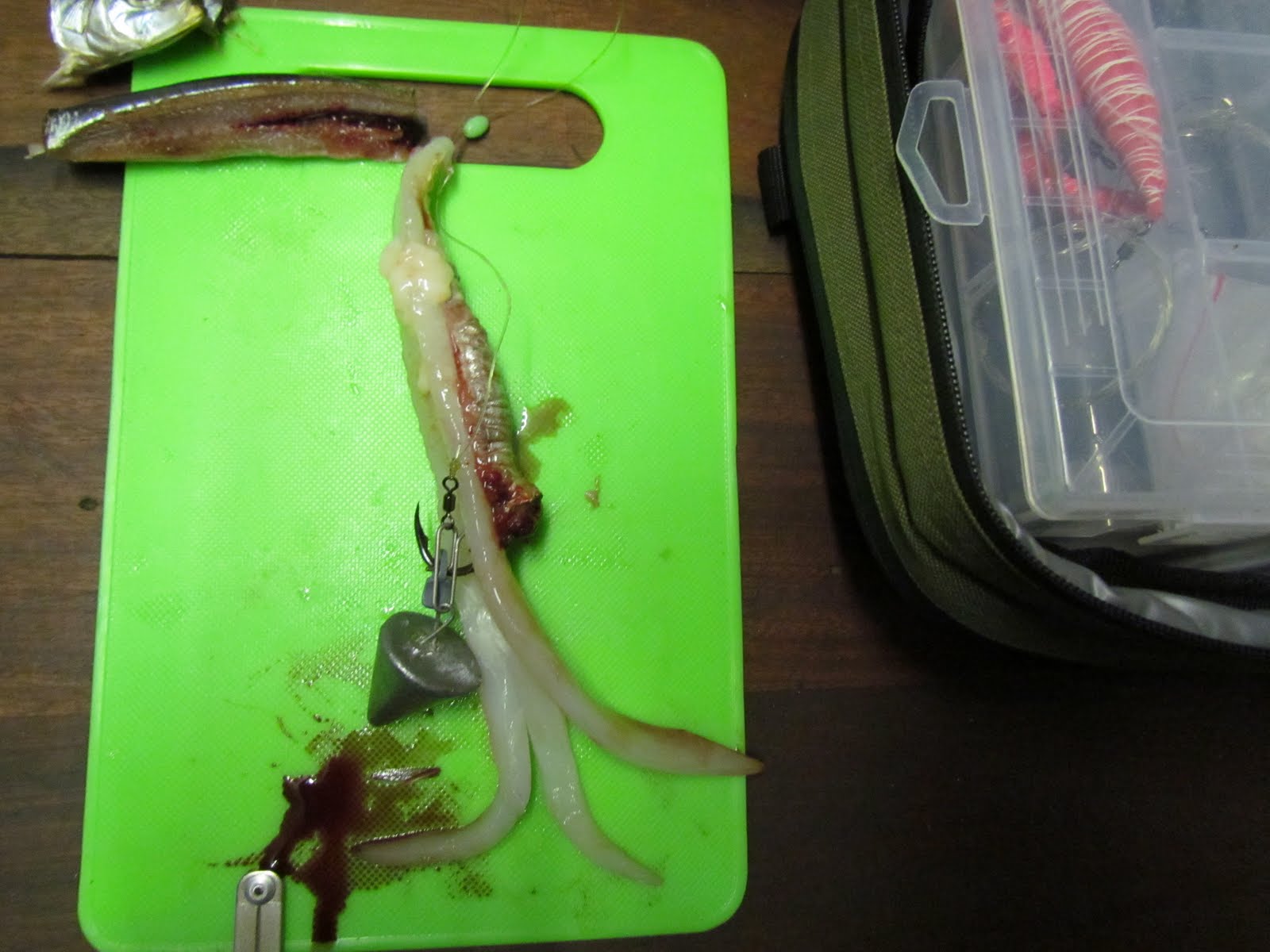 Angling: Combination of chokka and sardine for kob bait