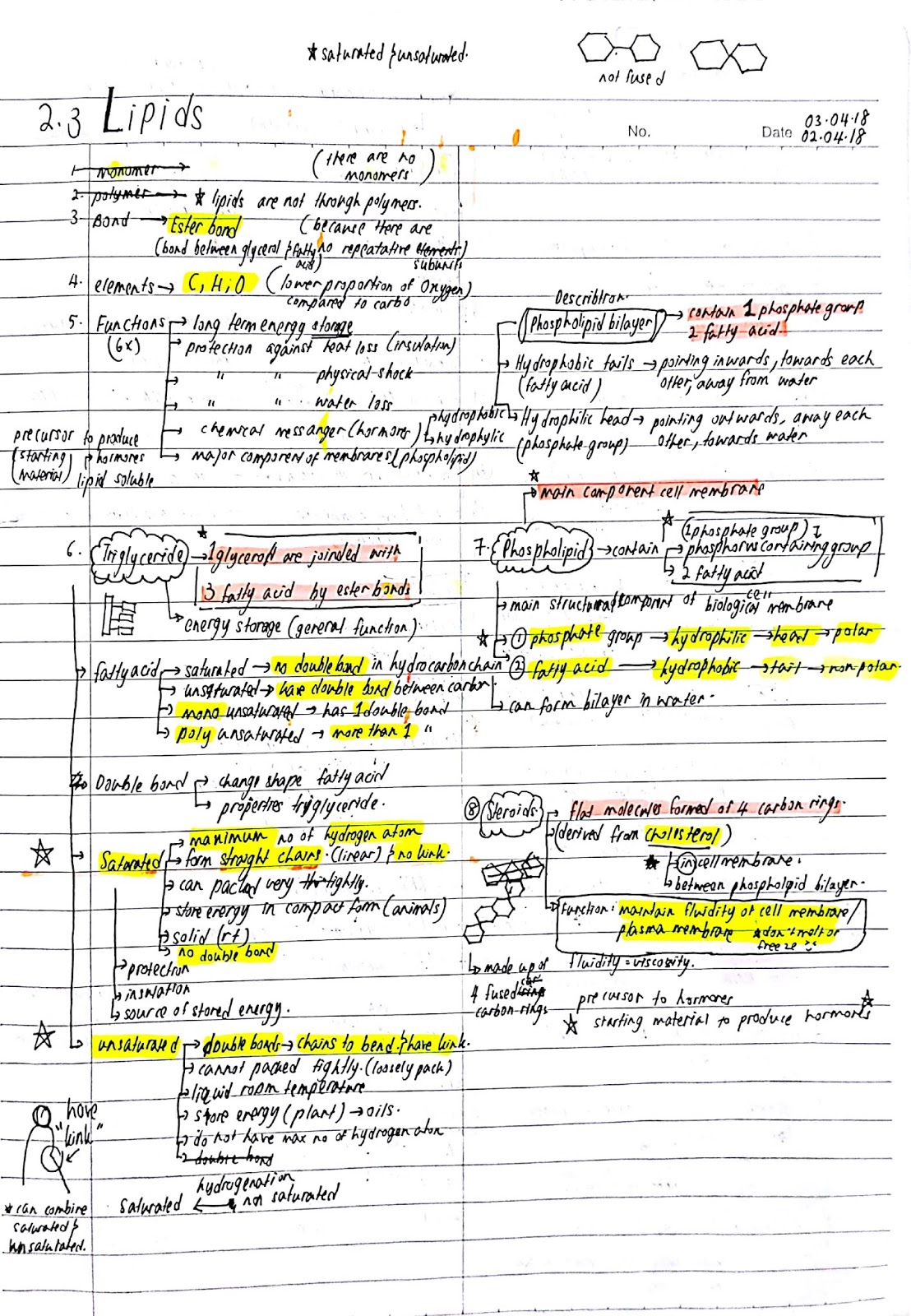 MUFY Biology Semester 1 Notes (RAW)