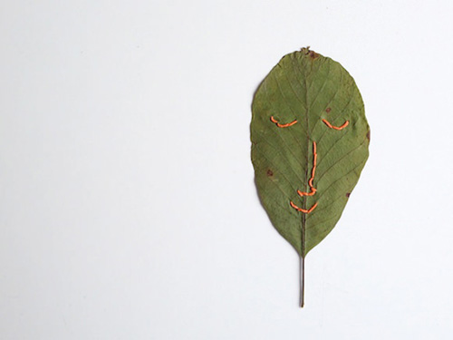 My Owl Barn: DIY Leaf Animals